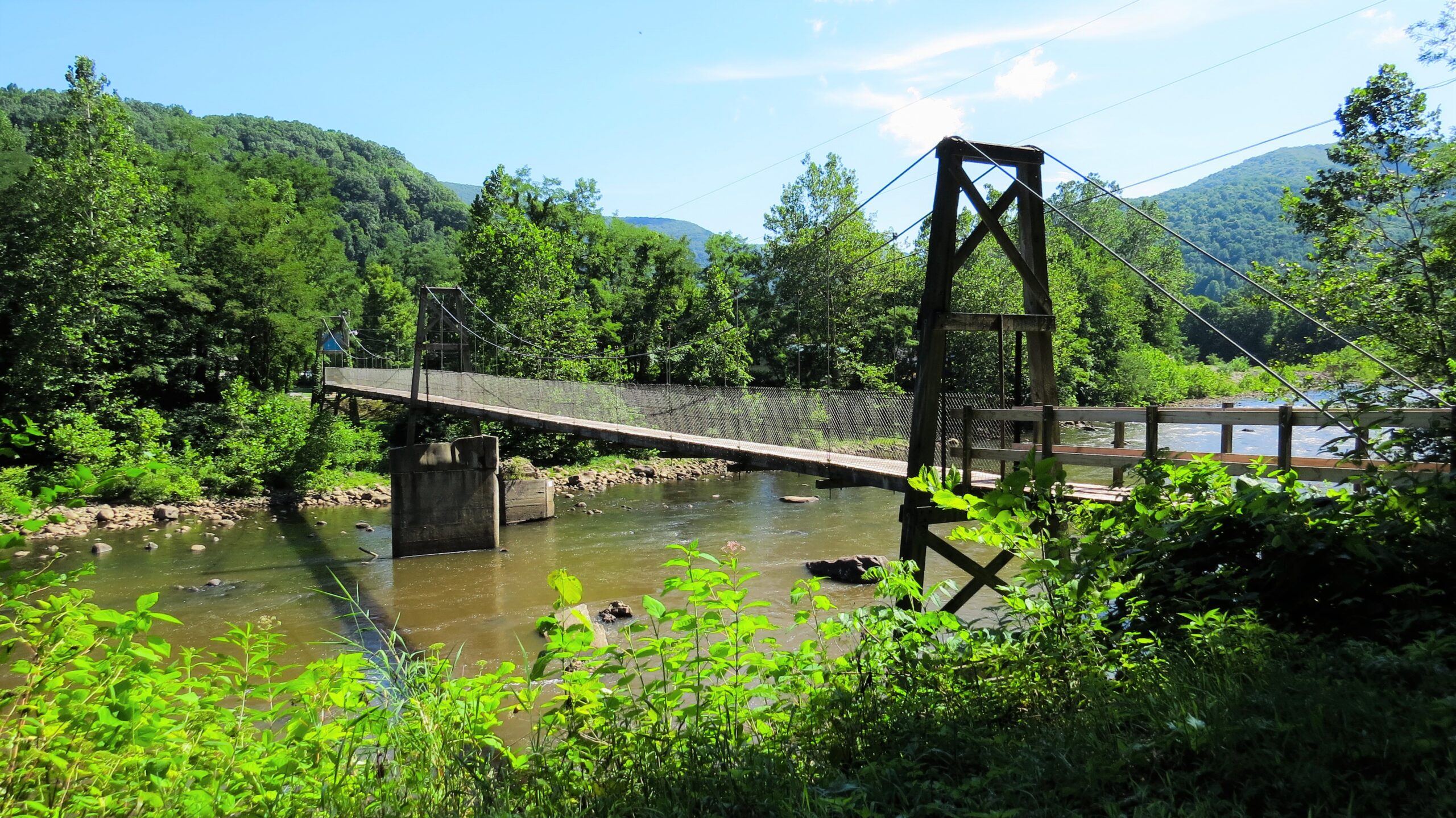 Hendricks Swinging Bridge - Goldenseal