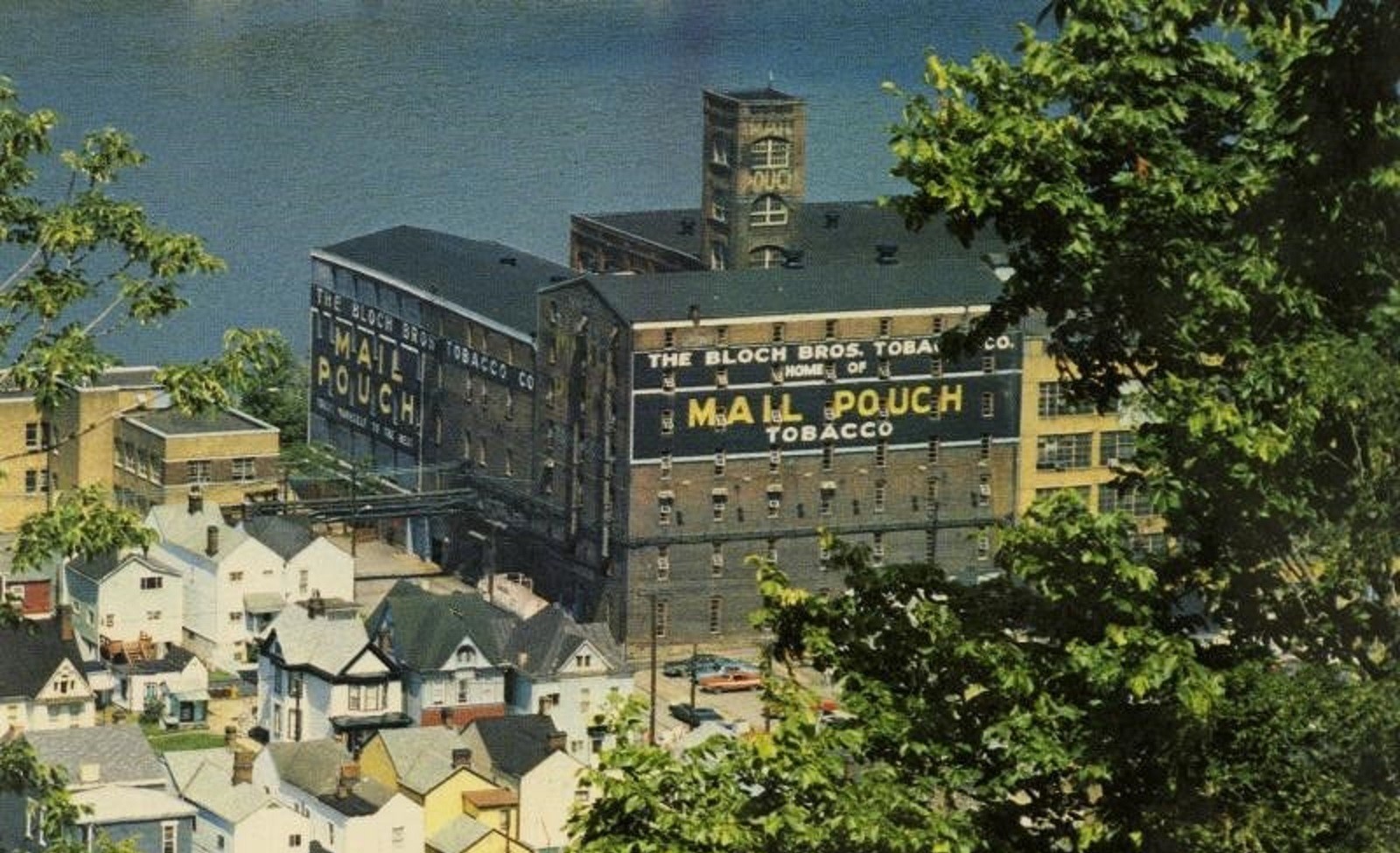 Mail Pouch Barns - Goldenseal
